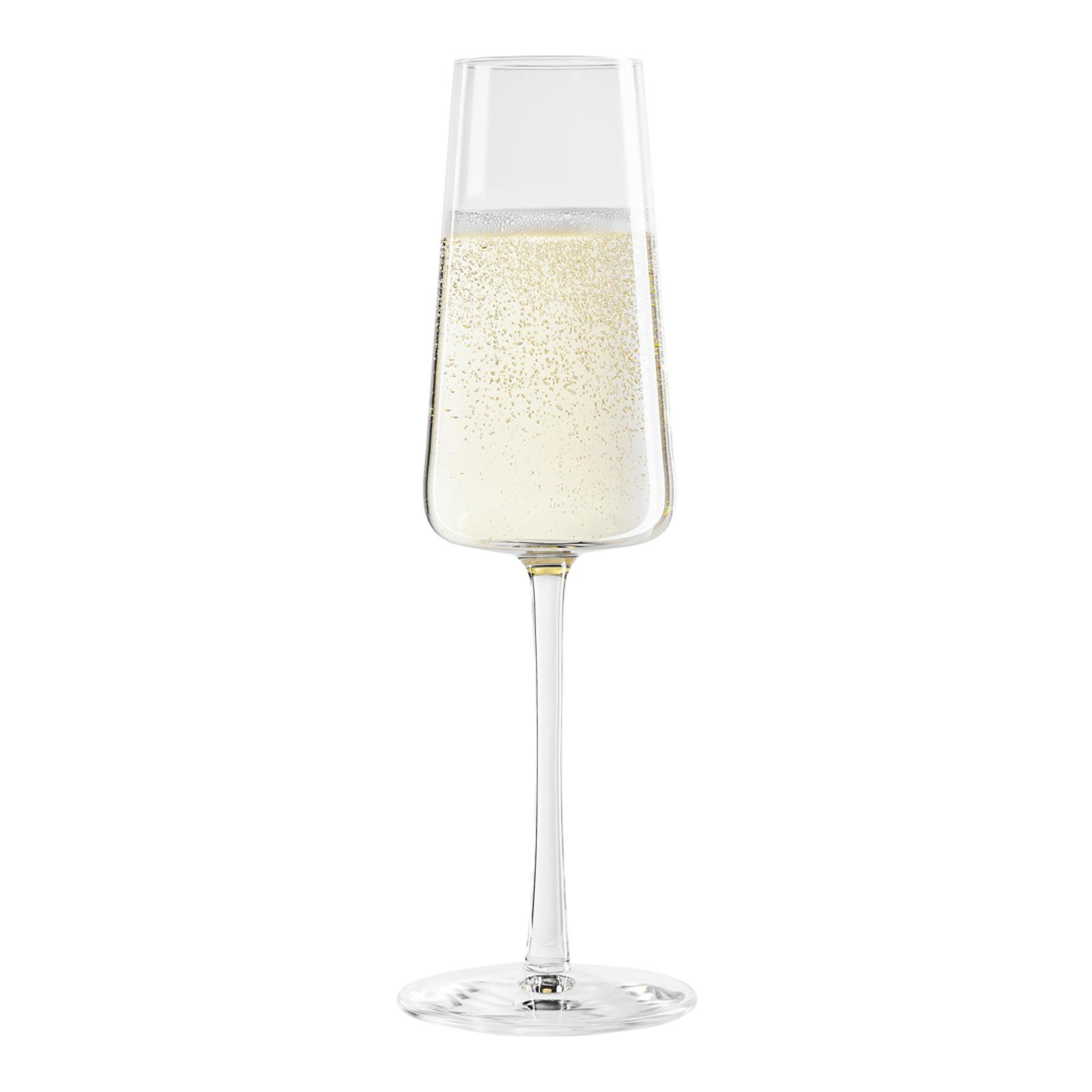 Set of 6 Power Flute Champ Glasses, 238ml - BrandAlley