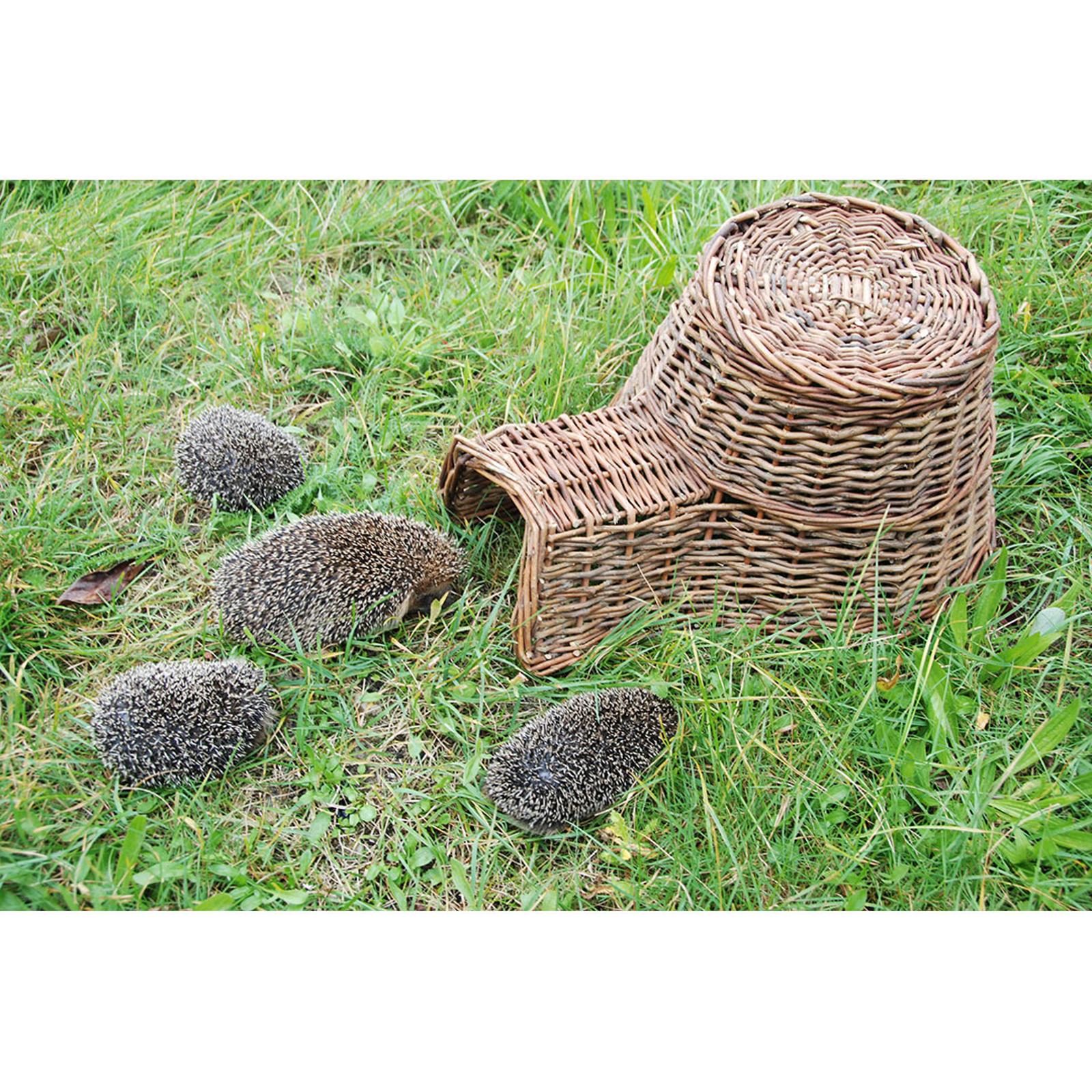Hedgehog Basket - BrandAlley