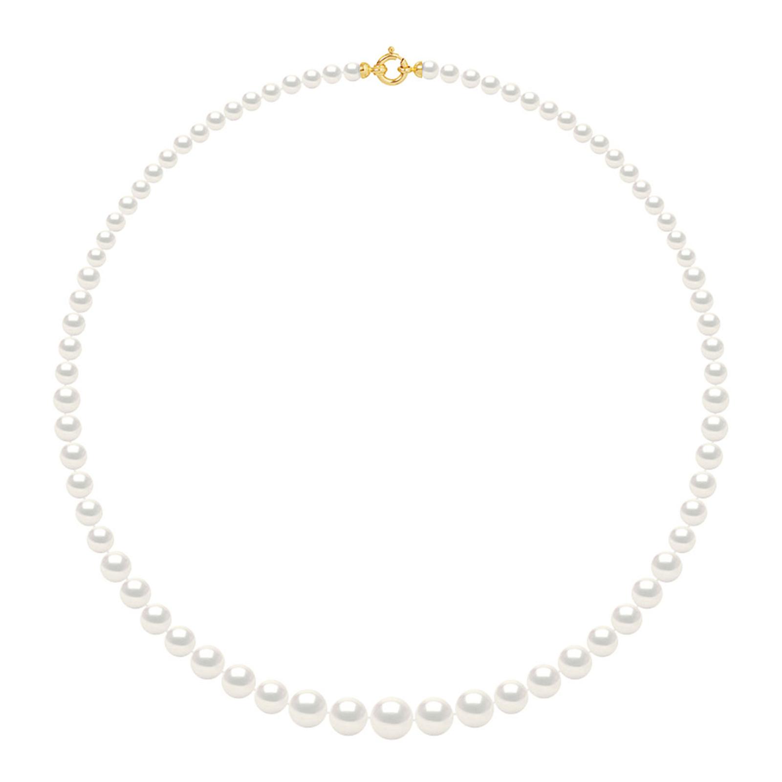 Yellow Gold/Natural White Row Of Real Freshwater Pearl Necklace ...