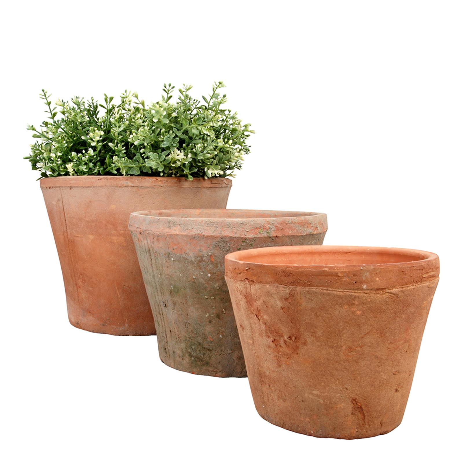Set of 3 Large Terracotta Pots - BrandAlley
