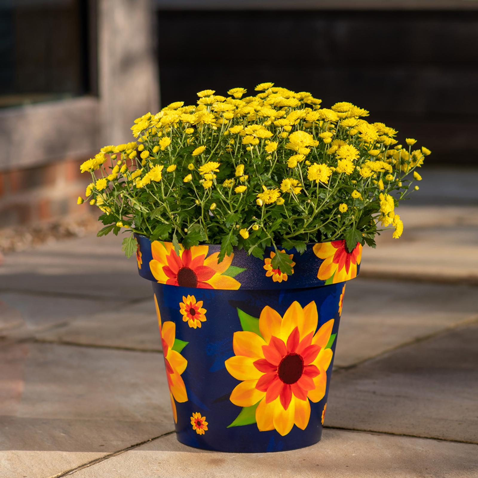 30cm Zest Pot - Sunflower - BrandAlley