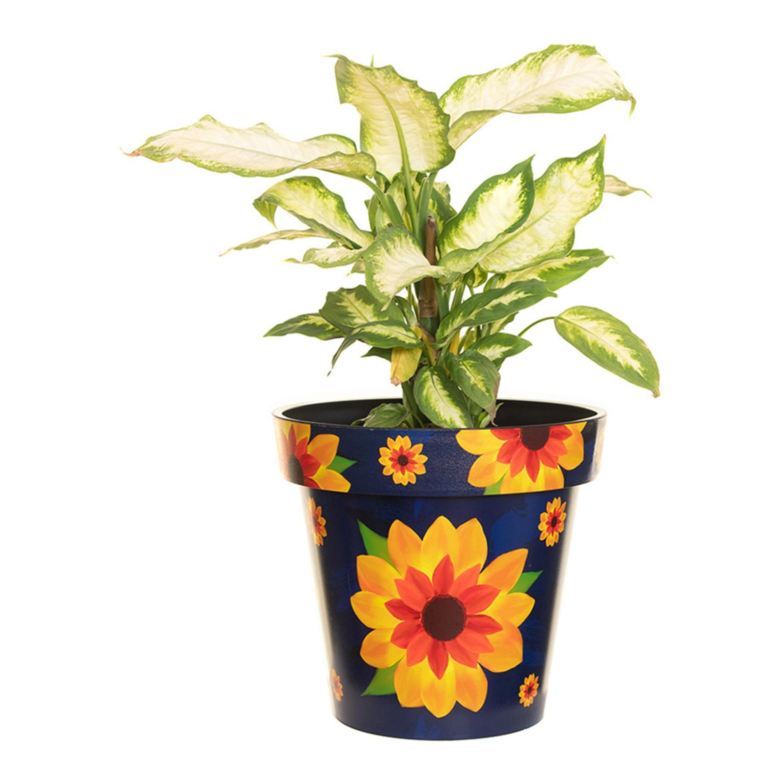 30cm Zest Pot - Sunflower - BrandAlley