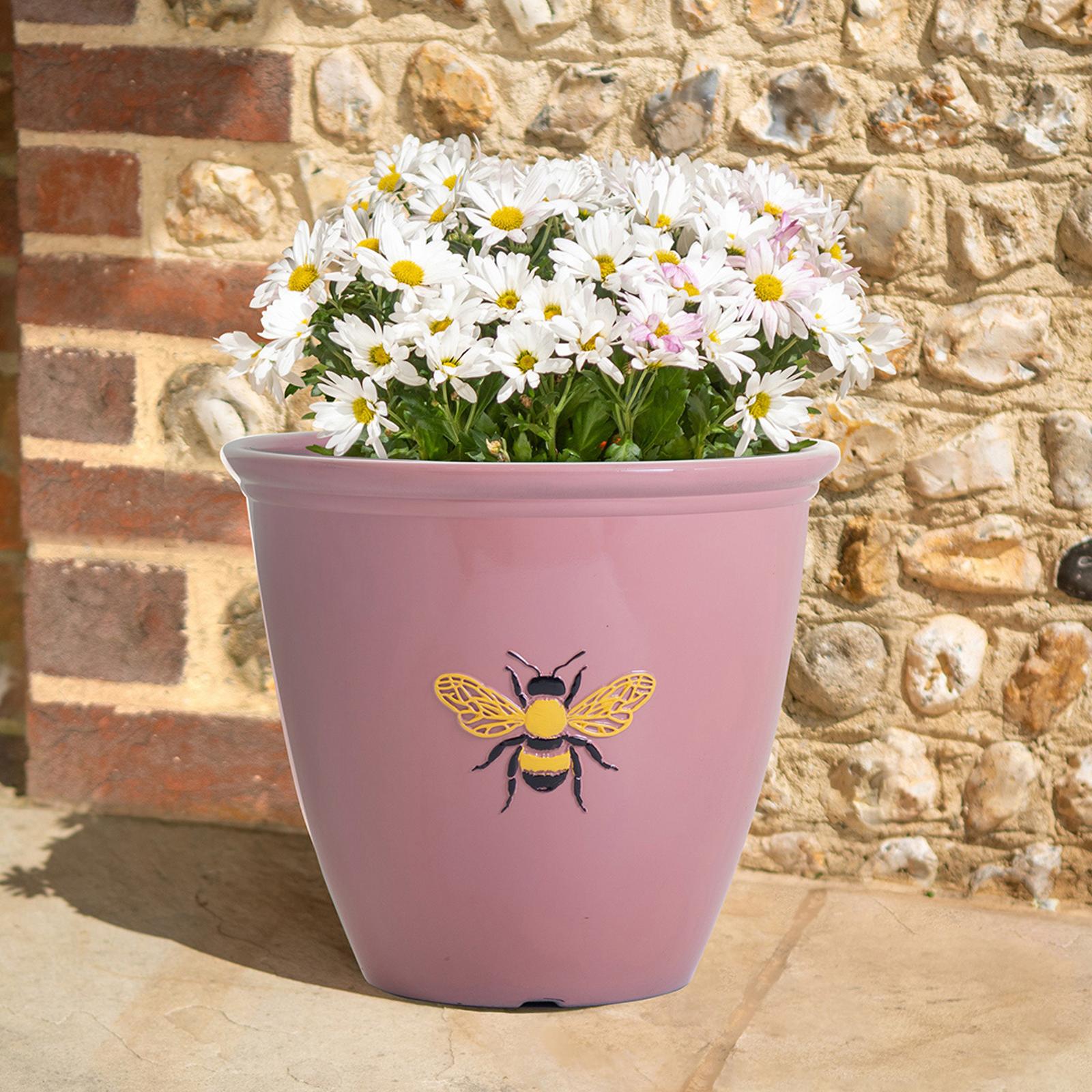 38cm Bee Planter Pink - BrandAlley