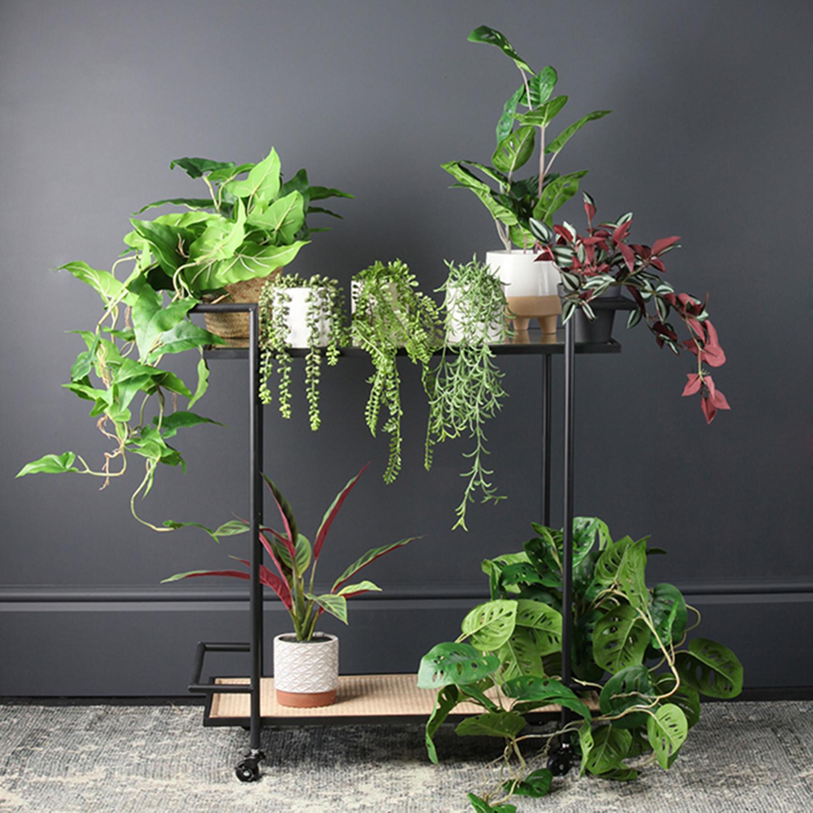 Set of 3 trailing plants in white pot - BrandAlley
