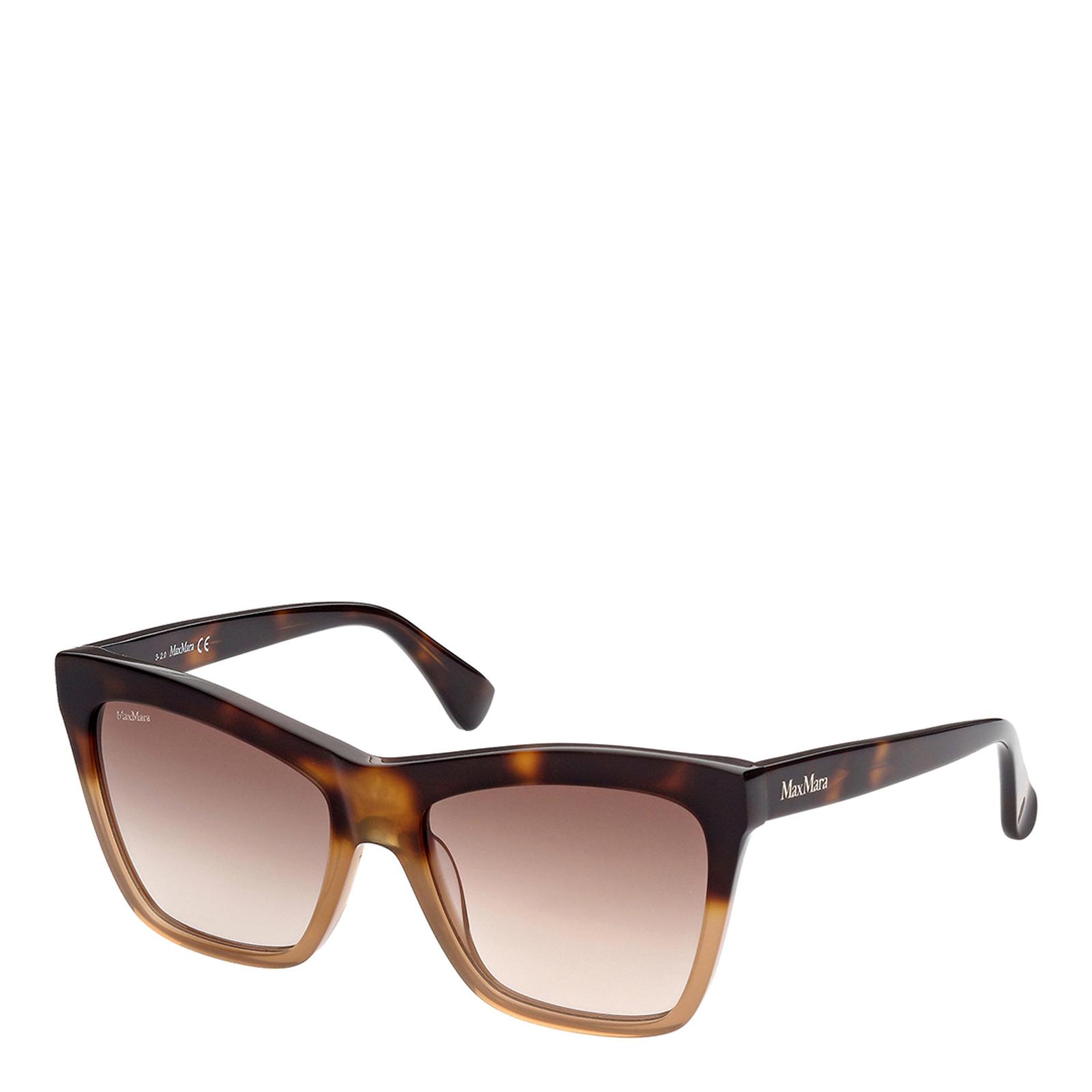 Havana Gradient Brown Sunglasses - BrandAlley