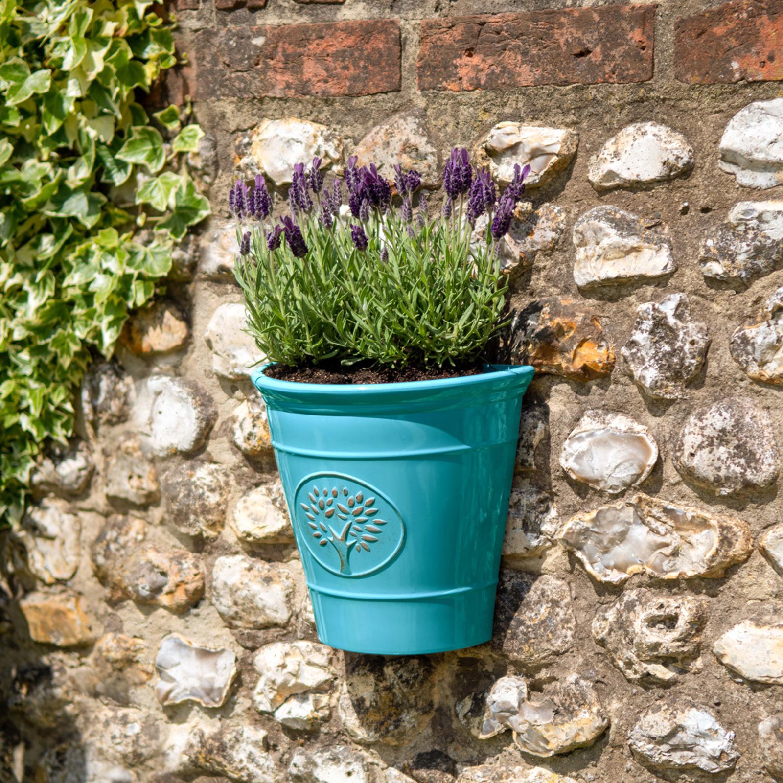 Blenheim Wall Pot - Aqua - BrandAlley