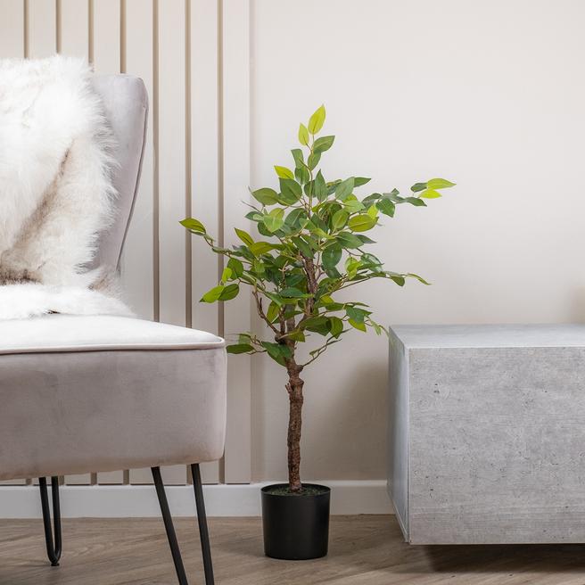 Faux Real Touch Mini Ficus Tree, 70cm - BrandAlley