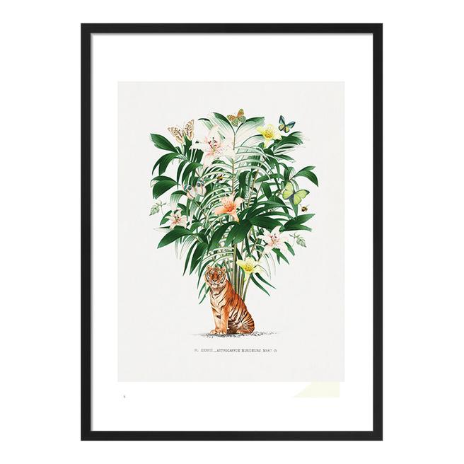 Tiger Palm Framed Print 50 x 40cm - BrandAlley