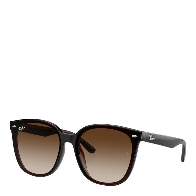 Polished Brown Square Sunglasses 66mm - BrandAlley
